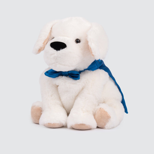 PIP – Two Blind Brothers