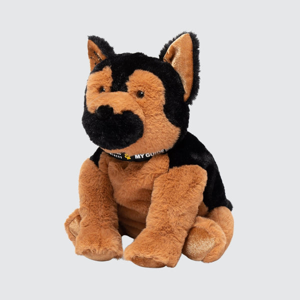 BUDDY – Two Blind Brothers